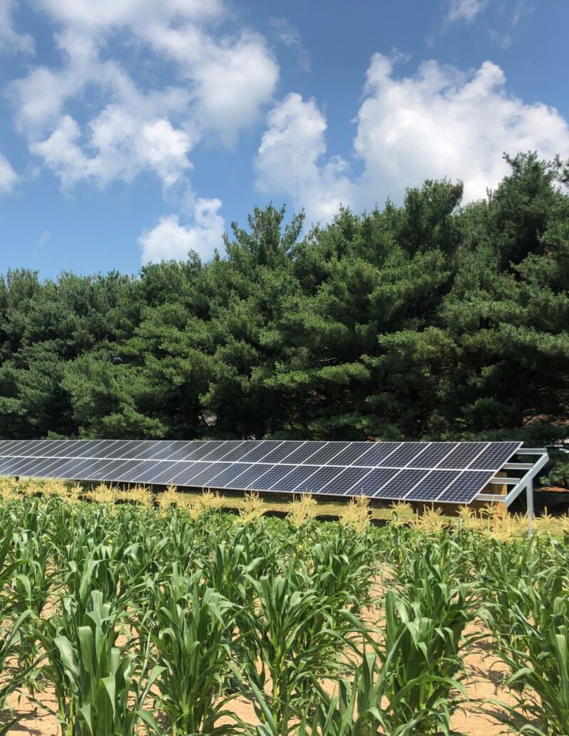 Agriculture Solar Systems - Growing Energy sustainability