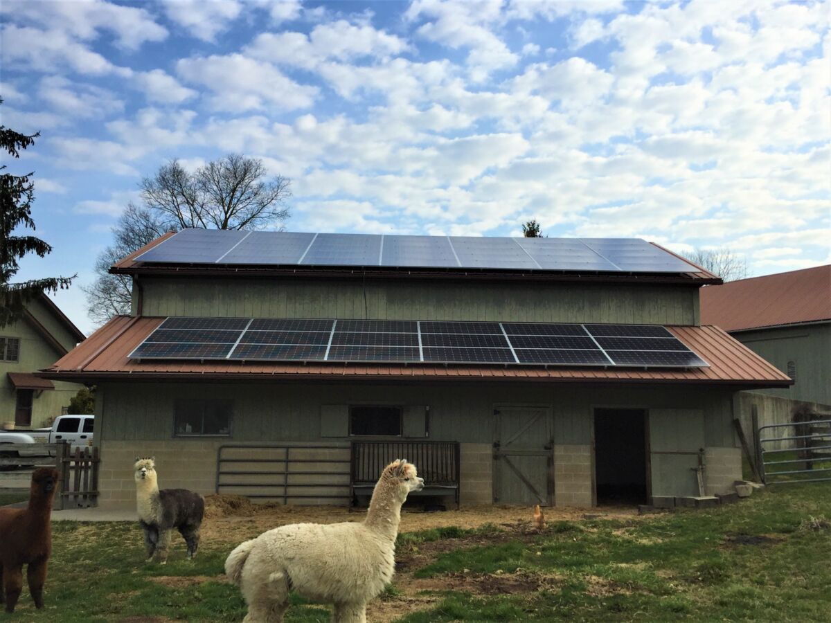 Agriculture Solar Systems - Growing Energy sustainability